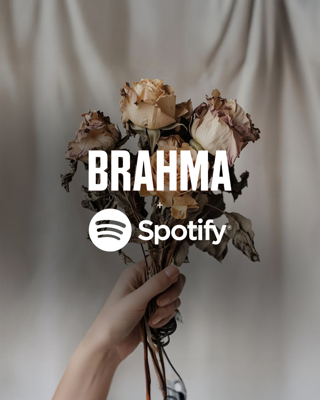 Brahma Hits - Tecla Music Agency
